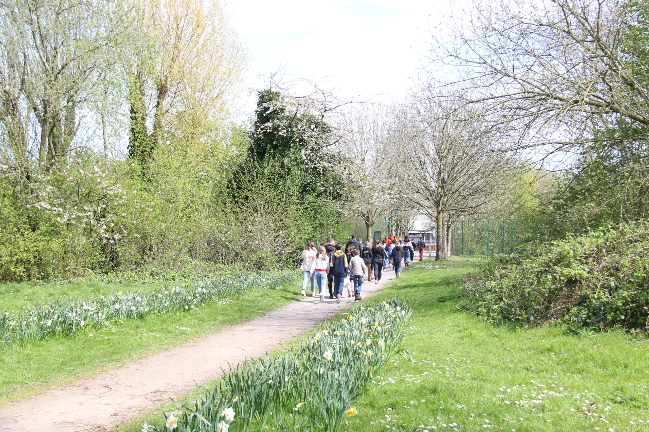 Le Parc des Caudreleux : Plan du site - Ville de Neuville-en-Ferrain